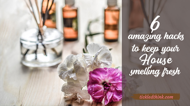 6 amazing hacks to keep your house smelling fresh - Tickled Think