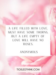60+ Rose Quotes about Life and Love - Tickled Think