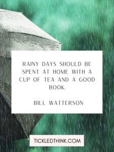 70+ Rain Quotes to Calm your Mind - Tickled Think