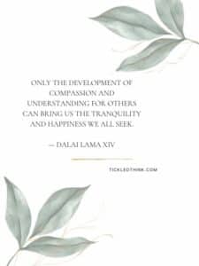 70+ Inspiring Quotes about Understanding - Tickled Think