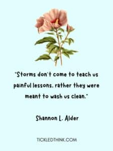 60+ Inspirational Quotes About Storms - Tickled Think